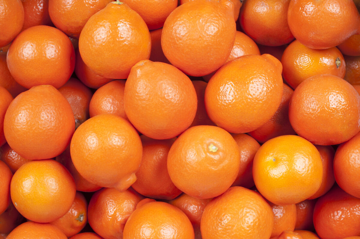 Tangelo (kg) – Chef's Garden