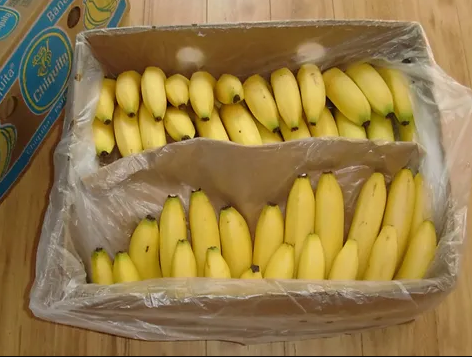 Banana (18kg Box) – Chef's Garden